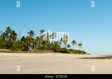 Palm-lined beach, Matemo island, Quirimba Archipelago, Mozambique Stock ...