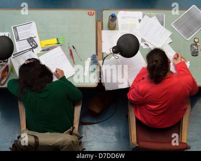 Students revising exams Stock Photo - Alamy