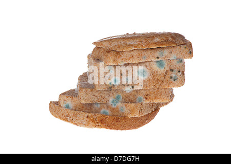 Mold on slices of white bread. Mould on food. Bread with mildew. Rotten ...