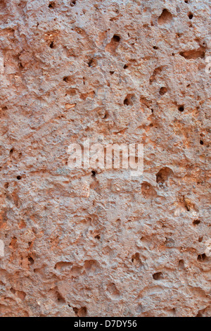 The texture of the walls of the construction of porous brick reinforced ...