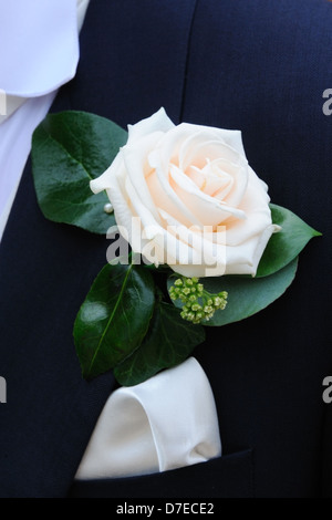 Closeup of grooms roses pinned to his suit jacket Stock Photo - Alamy
