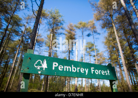 Green painted wooden sign for Pembrey Forest with trees in the ...