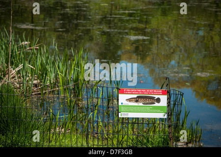 Fishermen in the Harlem Meer in Central Park are advised to retain any ...