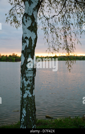 Sunset at Ferry Meadows, Peterborough, England Stock Photo - Alamy