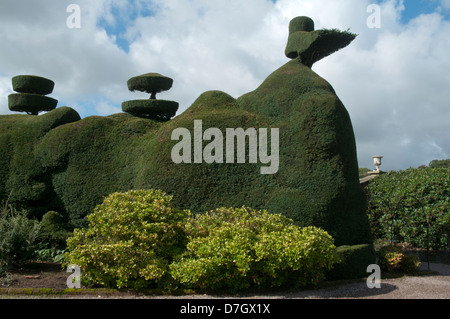 UK, England, Cheshire, Knutsford, Tatton Hall, Christmas decorations in ...