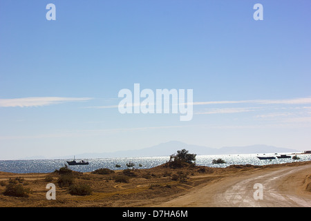 Nabq National Park Egypt Stock Photo - Alamy