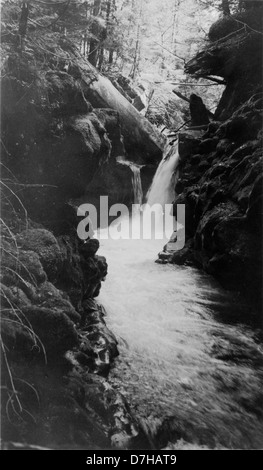 The Cispus River Falls, located in the Pacific Northwest, are captured ...