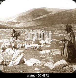 The view of the Promised Land that Moses saw from Mount Nebo ...