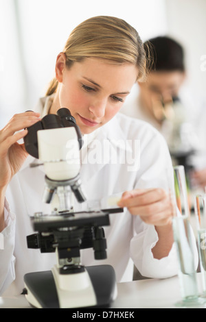 Scientists doing research on microscopes Stock Photo - Alamy
