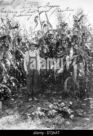 This historical photograph from 1914 shows Miami University students ...