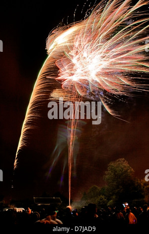 sparkling, firework display, new years eve, firework displays, new ...