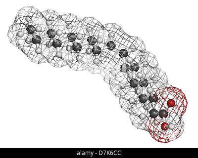 Oleic acid omega-9 fatty acid, molecular model. Oleic acid is the main ...