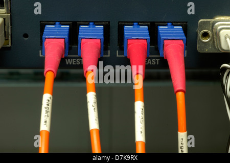 Networking, servers, electronics, cable, plug, socket. LED, lamp, lamp ...