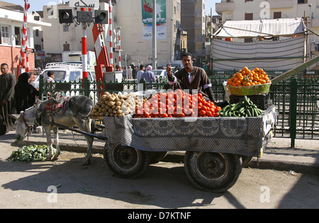 DONKEY & FRUIT VEGETABLE CART LUXOR EGYPT 13 January 2013 Stock Photo ...