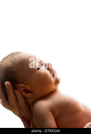 Cute sweet gorgeous nice stunning adorable good-looking good-dre Stock ...