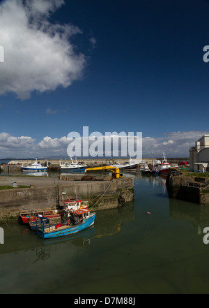 Boats in dock at the harbour at Clogherhead, Ireland Stock Photo - Alamy