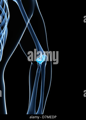 Male Elbow - Anatomy Bones Stock Photo - Alamy