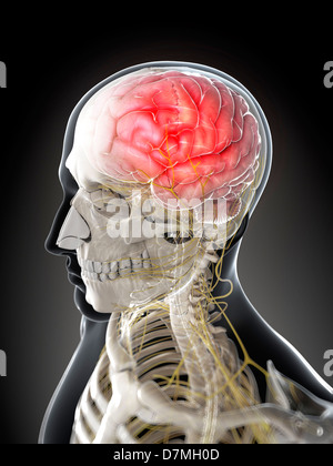 Skeleton with Headache Stock Photo - Alamy