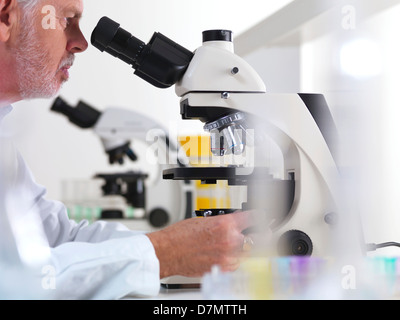Scientist using light microscope Stock Photo - Alamy