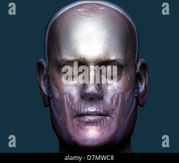 HEAD, 3D SCAN Stock Photo - Alamy