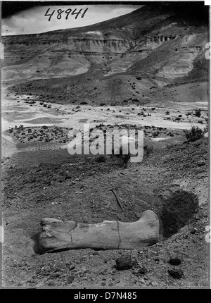 The image shows an expedition for vertebrate paleontology at the Old ...