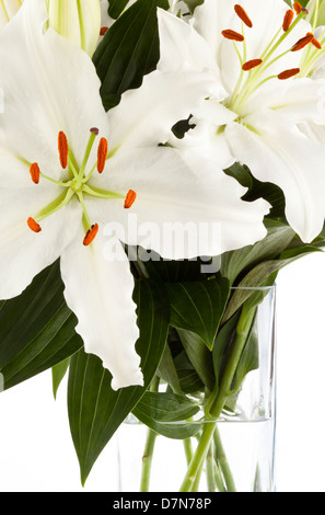 Large green white vase with flowers on a background of trees and sky ...