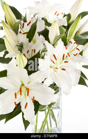 lily in green buds and green stems, June Stock Photo - Alamy