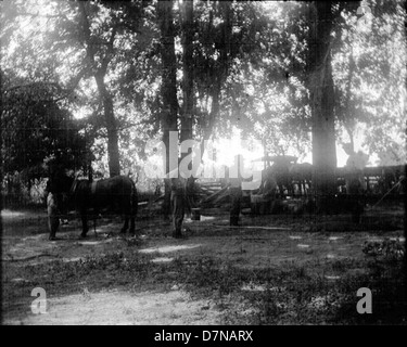 A photograph from the 1925 zoology expedition to Lake Miccosukee in ...