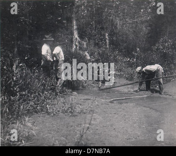 The image from a 1925 zoology expedition in Georgia’s North Lake ...