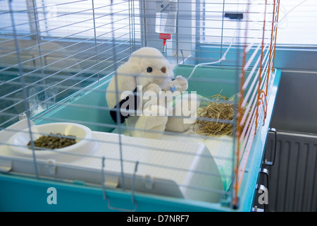 sick stuffed toy with infusion Stock Photo - Alamy