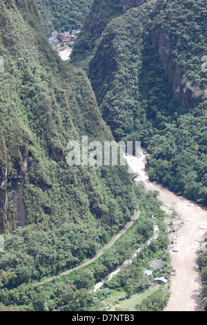 Details of the cloud forest in the Peruvian Andes at Machu Picchu Stock ...