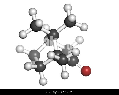 Camphor, chemical structure. Atoms are represented as spheres with ...