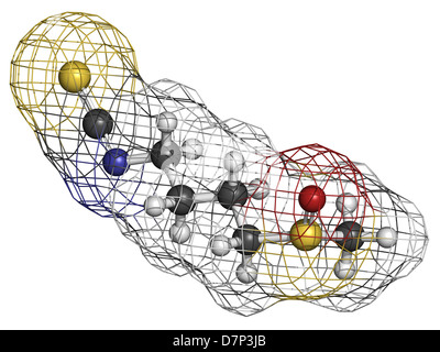 Sulforaphane broccoli and Brussels sprouts molecule, chemical structure ...