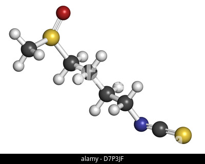 Sulforaphane broccoli and Brussels sprouts molecule, chemical structure ...