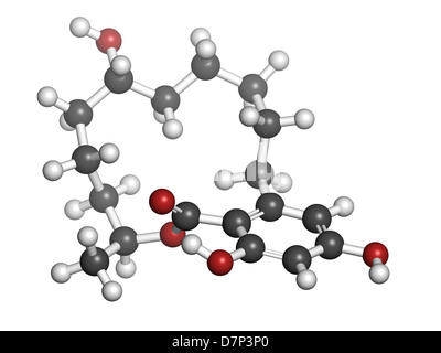 Zeranol beef growth promoter, molecular model. Zeranol has non ...