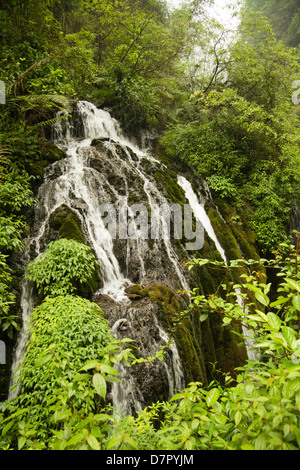 Tribes of the Three Gorges tour, Xiling, China Stock Photo - Alamy