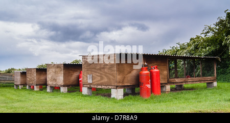 Game, pheasant and partridge, rearing pens in a field Stock Photo - Alamy