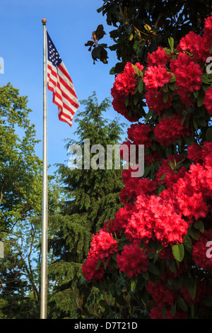 USA, Oregon, Salem, Oregon State Capitol from Wilson Park with Walk of ...