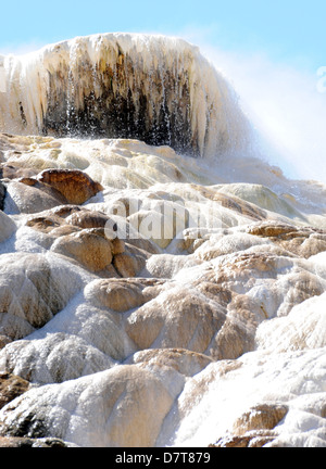 From hot springs located at Yellowstone National Park Stock Photo - Alamy