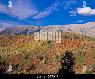 Mount Nebo Scenic Byway, Uinta-Wasatch-Cache National Forest near Stock Photo - Alamy