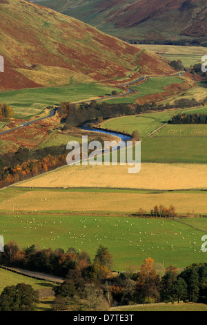 Upper Tweeddale Valley in the Scottish Borders Stock Photo - Alamy