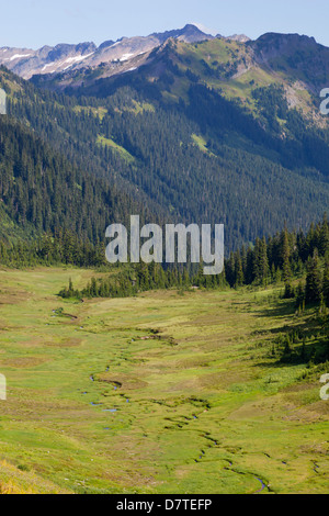 USA, Washington State, Henry M. Jackson Wilderness, Meander Meadow ...