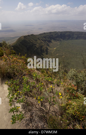 View of the rim of Longonot volcano crater, Kenya Stock Photo - Alamy