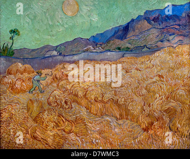 Wheatfield with a reaper. Museum: Van Gogh Museum, Amsterdam Stock ...