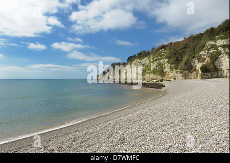 Pebble beach Beer Devon England Stock Photo - Alamy