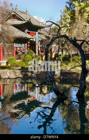 Jade Dragon Snow Mountain behind Black Dragon Pool in Lijiang, Yunnan ...