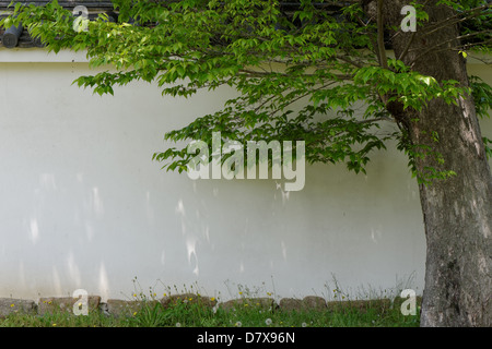 Old temple with abstract walls Stock Photo - Alamy