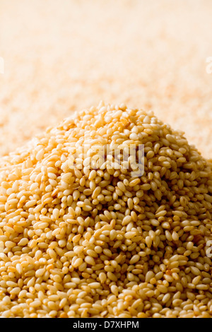 Roasted Sesame Seeds Stock Photo - Alamy