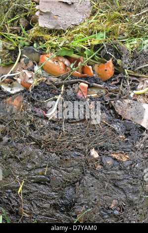 A compost bin removed to show the layers of decomposing material Stock ...