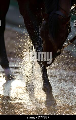 Baltimore, MD, USA. 15th May, 2021. May 15, 2021: Scenes from Preakness ...